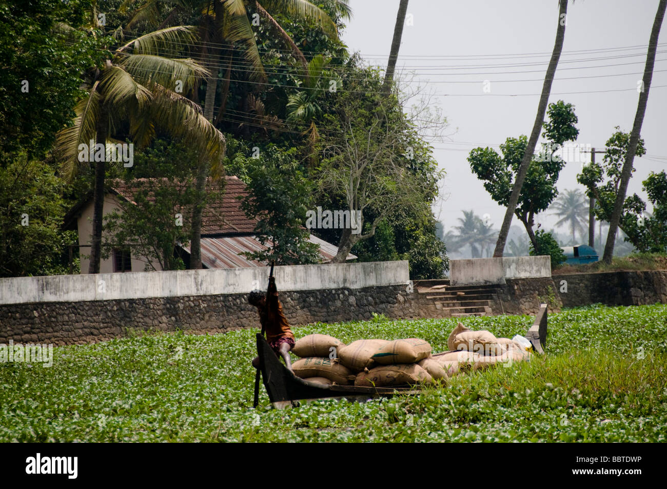 Rice transport through lake, rural village india Stock Photo - Alamy