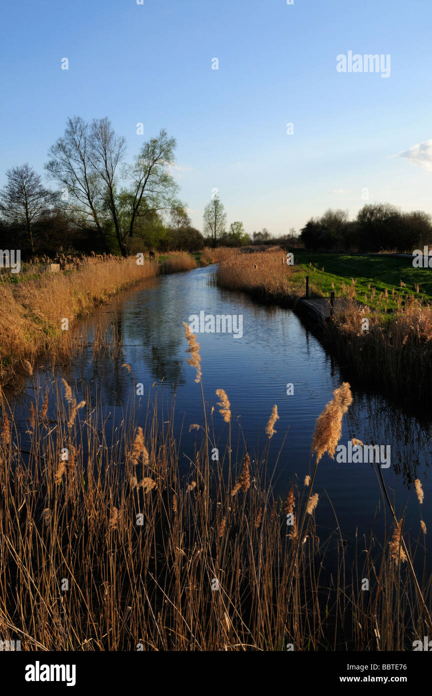 Wicken fen nature reserve hi-res stock photography and images - Alamy