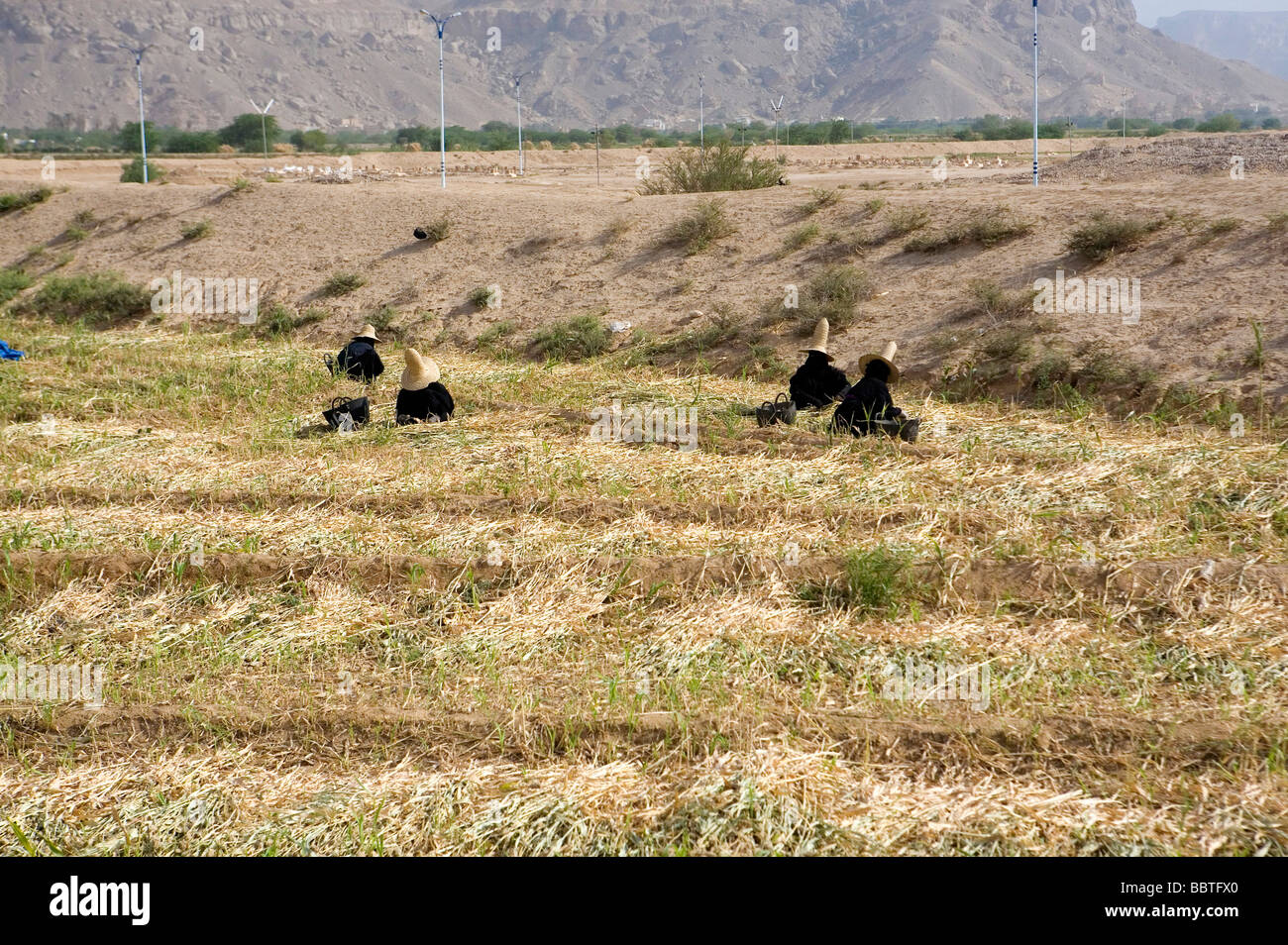 Hadramout High Resolution Stock Photography and Images - Alamy