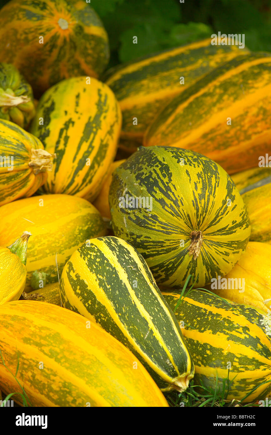 Watermelon, Naples, Campania, Italy Stock Photo - Alamy
