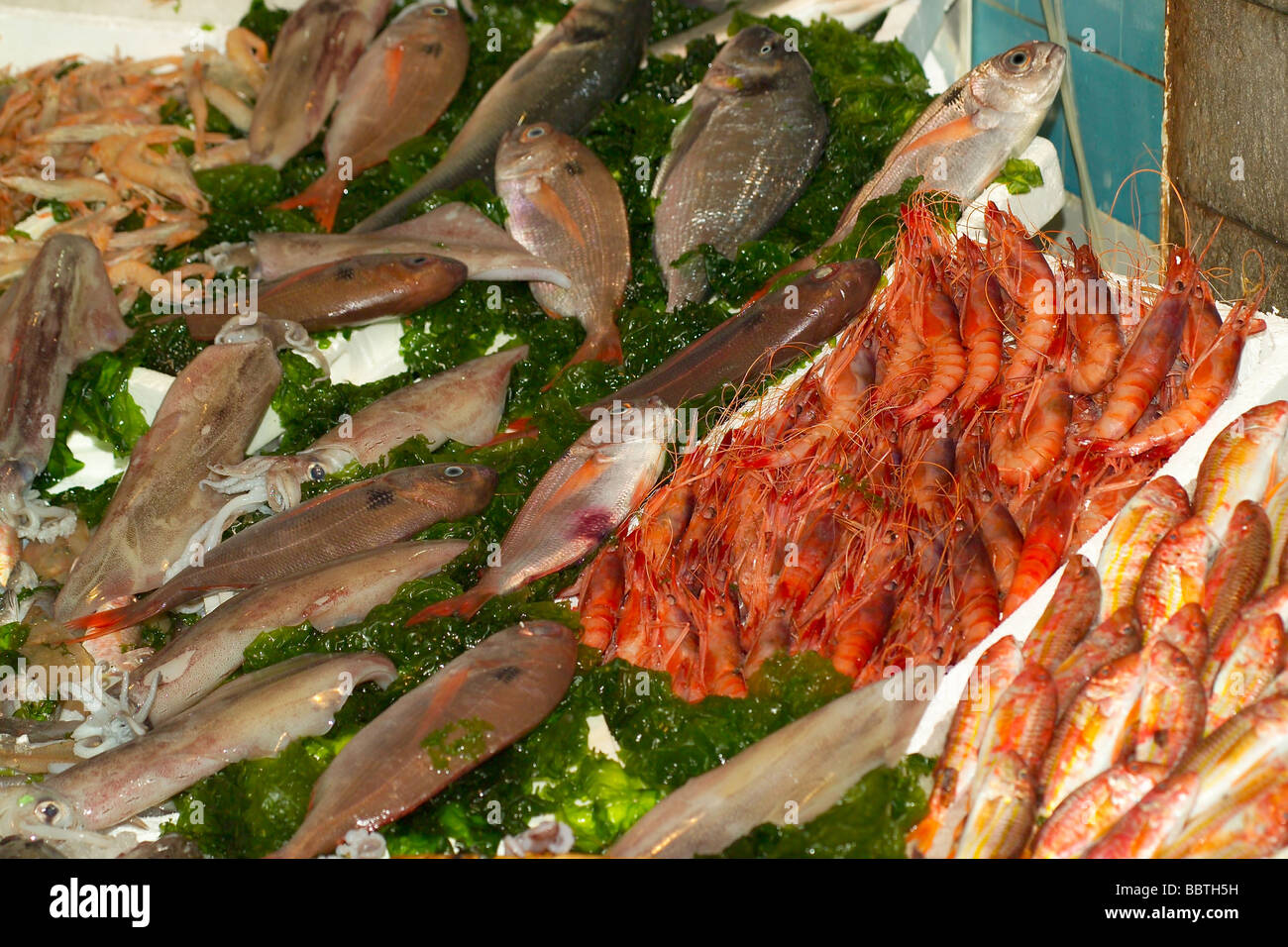 Fish market, Naples, Campania, Italy Stock Photo - Alamy