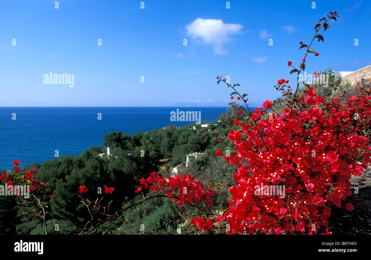 Panarea island, Aeolian Islands, Sicily, Italy Stock Photo - Alamy