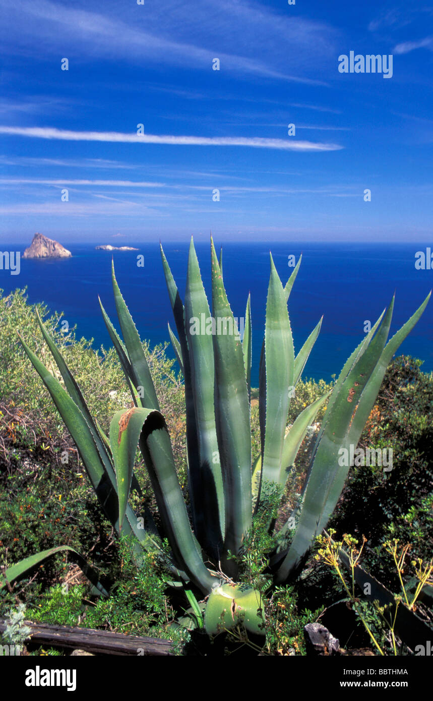 Landscape, Panarea island, Aeolian Islands, Sicily, Italy Stock Photo ...