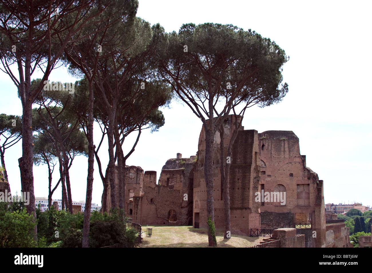 Palatino High Resolution Stock Photography and Images - Alamy