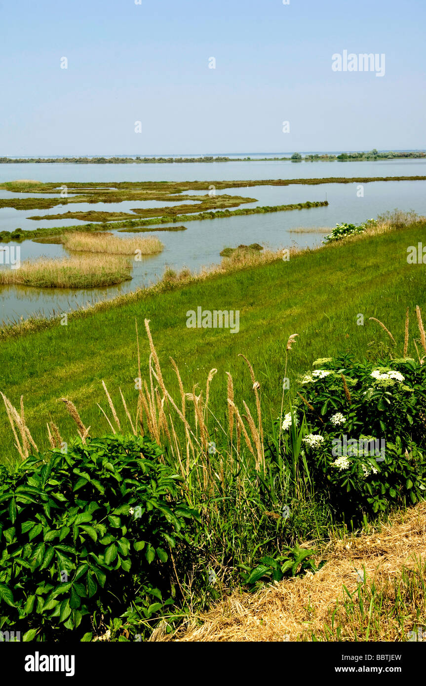 Comacchio lagoon, Po delta, Emilia Romagna, Italy Stock Photo - Alamy