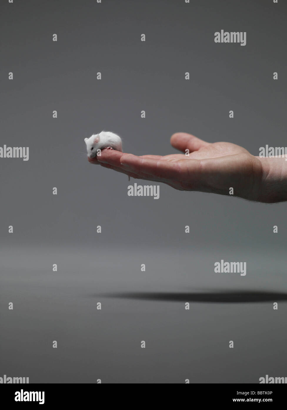 Human with mouse animal hi-res stock photography and images - Alamy