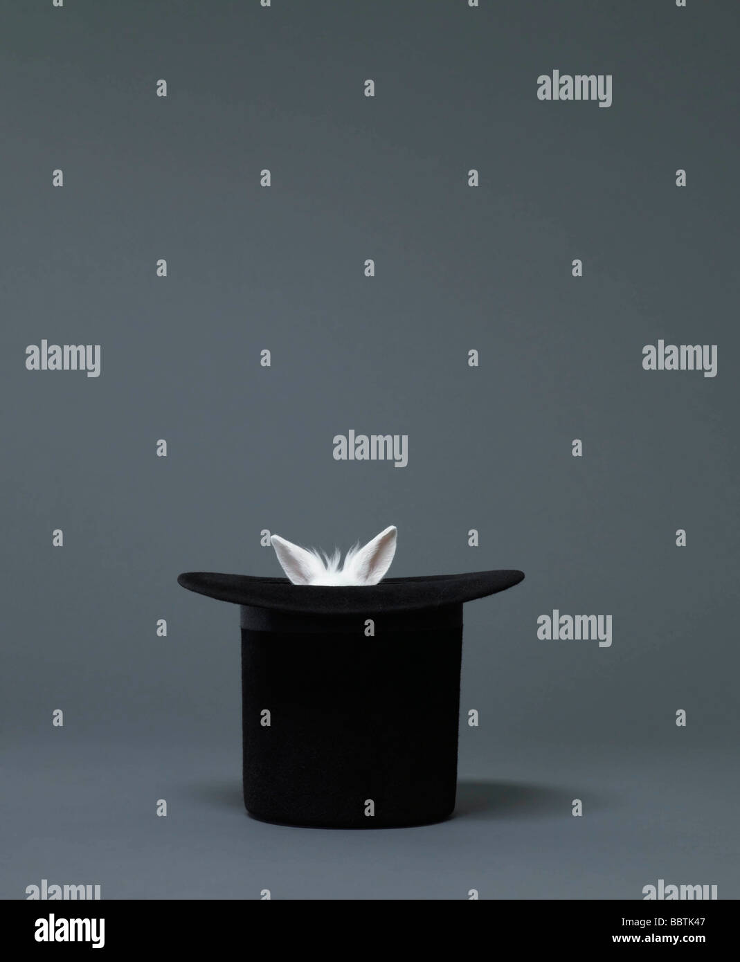 Rabbit with its ears sticking up hi-res stock photography and images ...