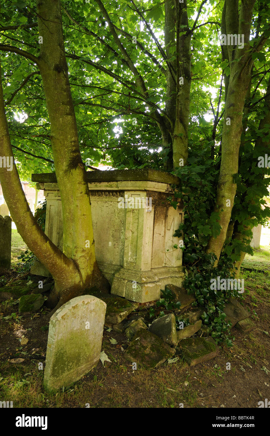 Churches with trees hi-res stock photography and images - Alamy