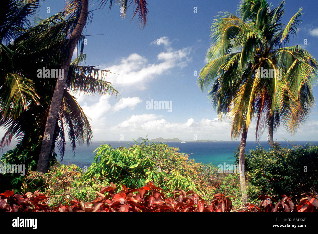 Landscape, Grenada island, West Indies, Central America Stock Photo - Alamy