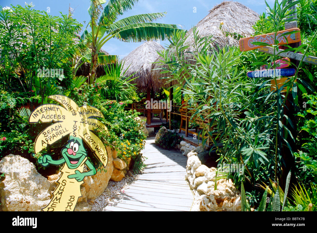 Vegetation, Guadeloupe, French Antilles, West Indies, Central America ...