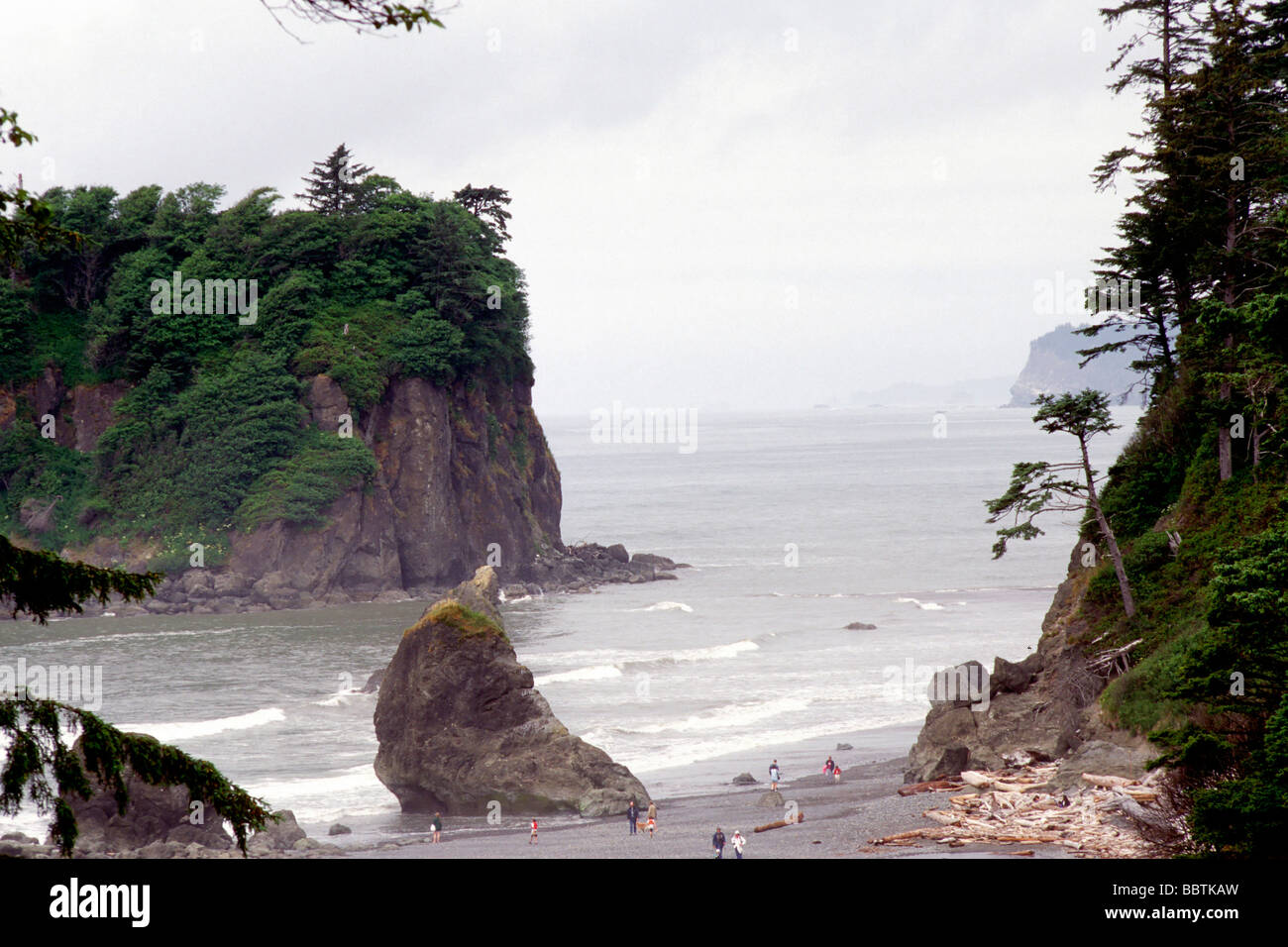 Olympic National Forest, Seattle, Washington State, United States of ...
