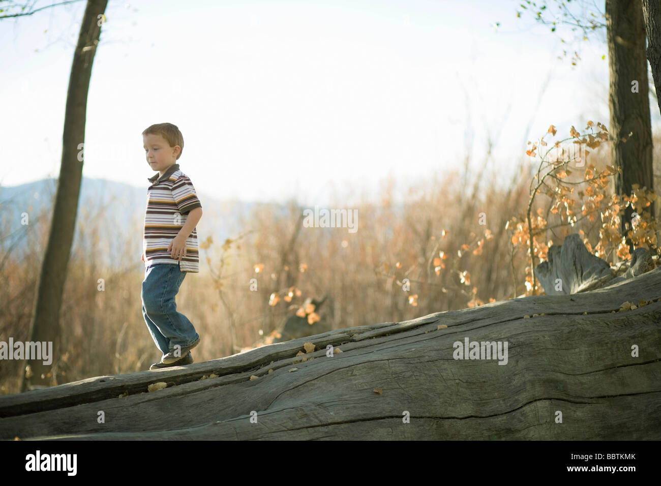 Young boy playing on log Stock Photo - Alamy
