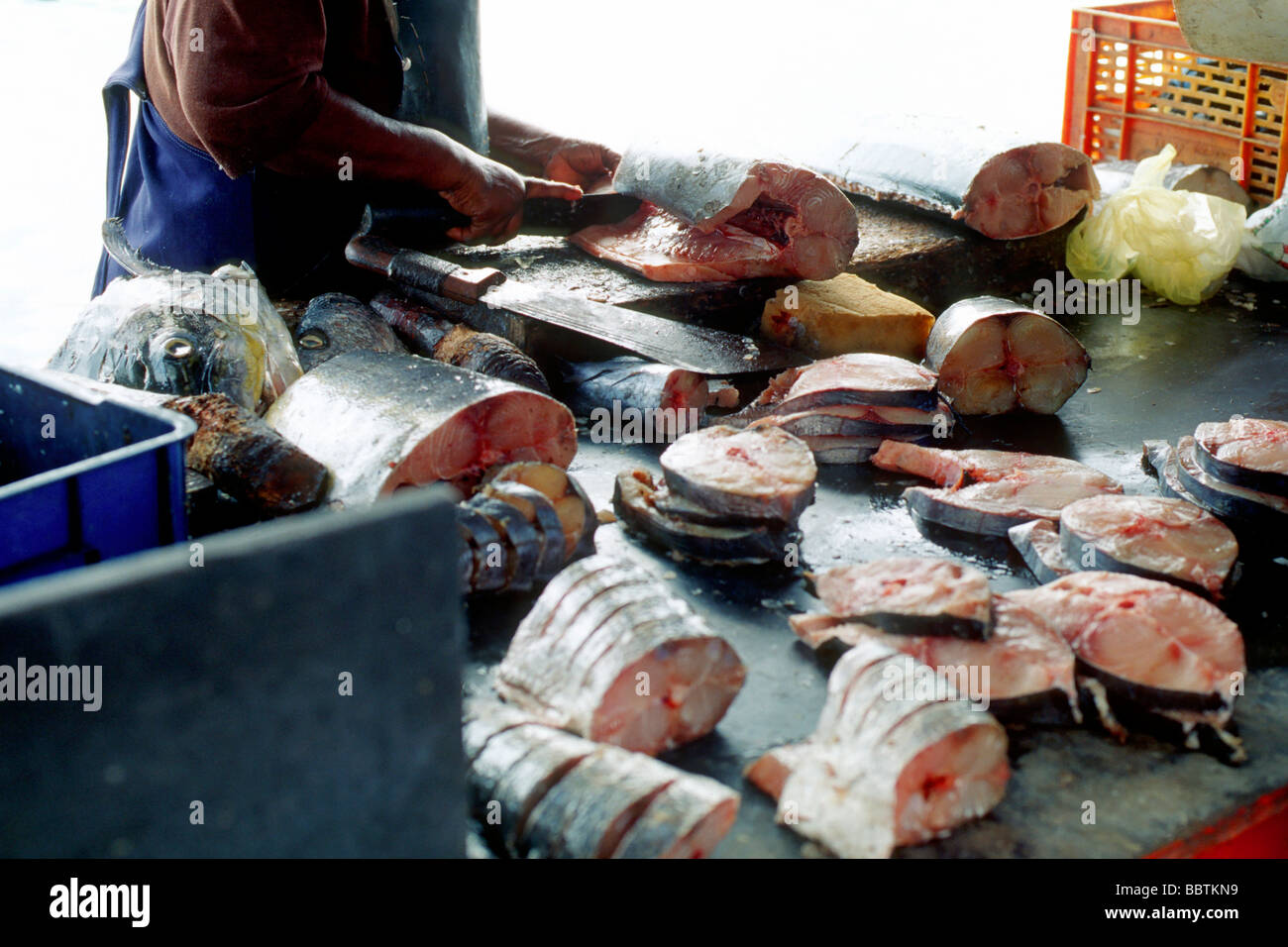 Fish market, Caribbean, Central America Stock Photo - Alamy