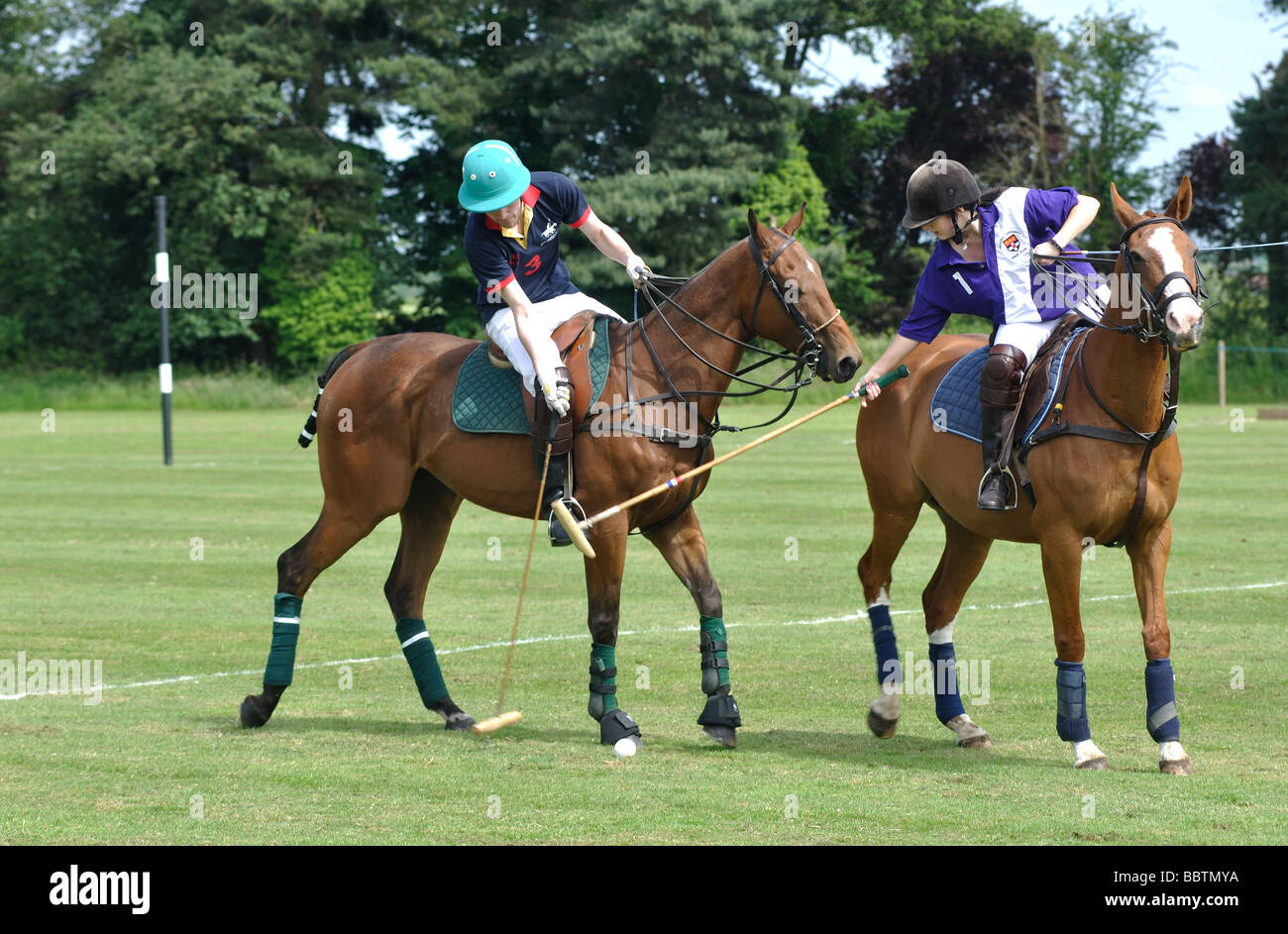 University students polo, UK Stock Photo - Alamy
