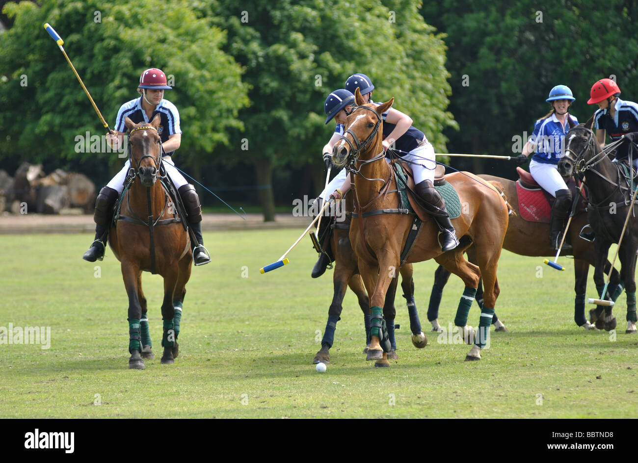 University students polo, UK Stock Photo - Alamy