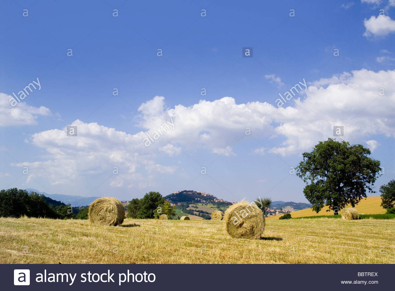 Camerino Stock Photos & Camerino Stock Images - Alamy