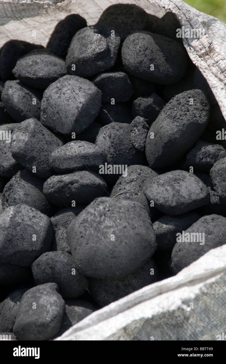 Coal coals sack sacks bag bags fossil fuel fuels solid carbon dioxide ...