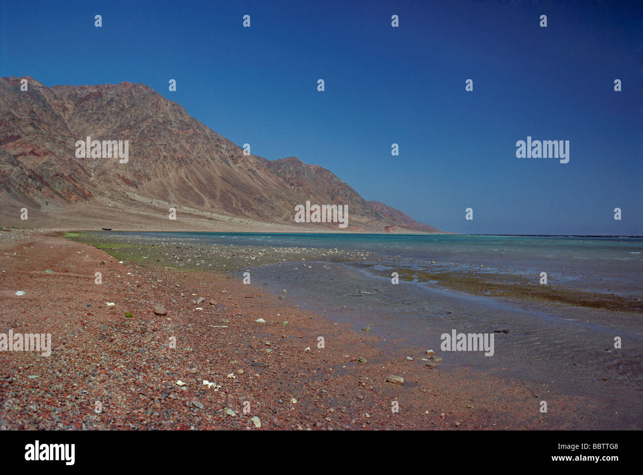 Coastal plain along Red Sea Coast Ras Abu Galoom Sinai Egypt Stock ...