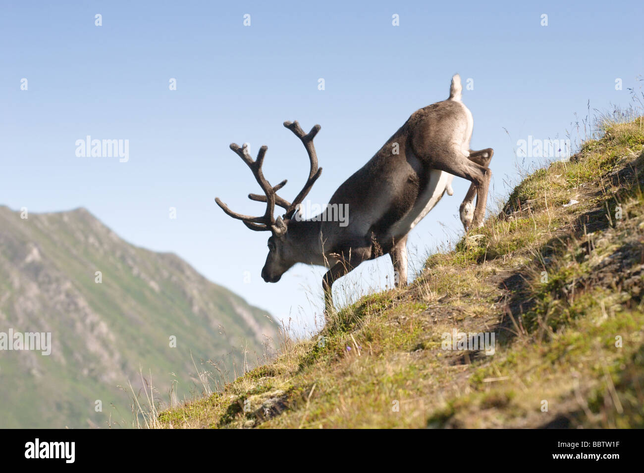 Closeup of mountain hi-res stock photography and images - Alamy