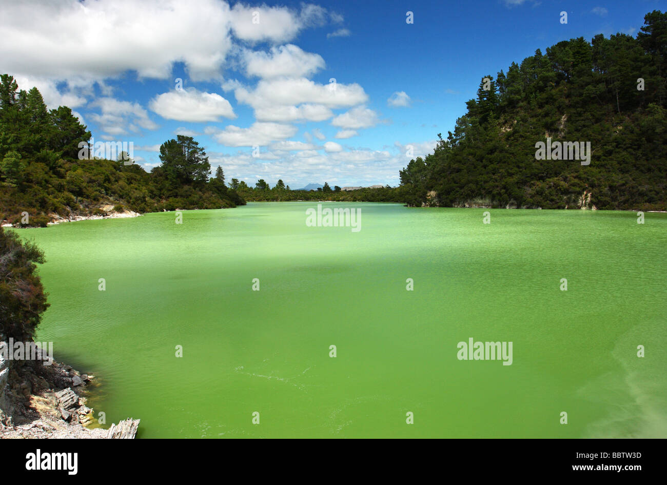 Geothermal park rotorua hi-res stock photography and images - Alamy