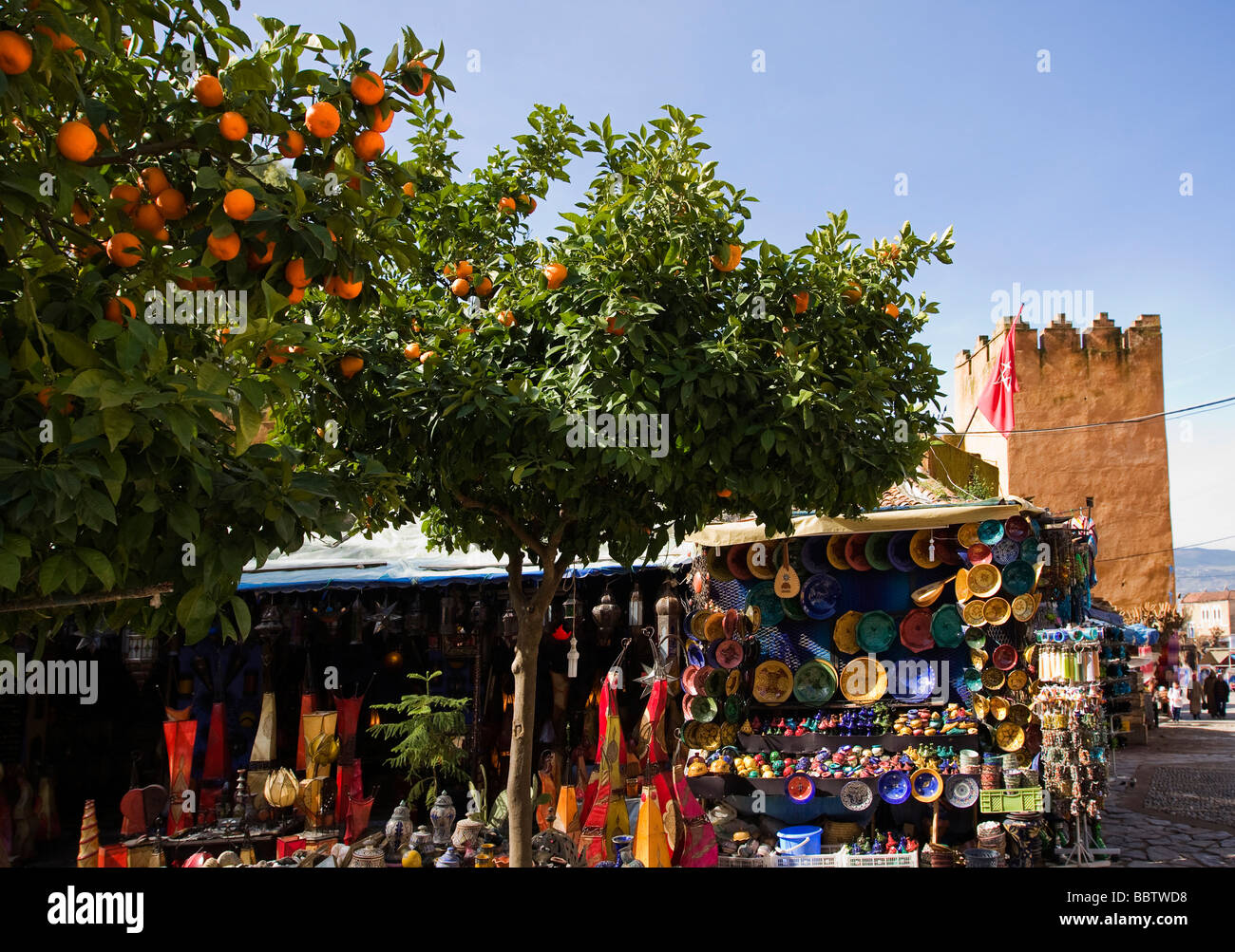 Orange Tree, Chefchaouen, Morocco, North Africa Stock Photo - Alamy