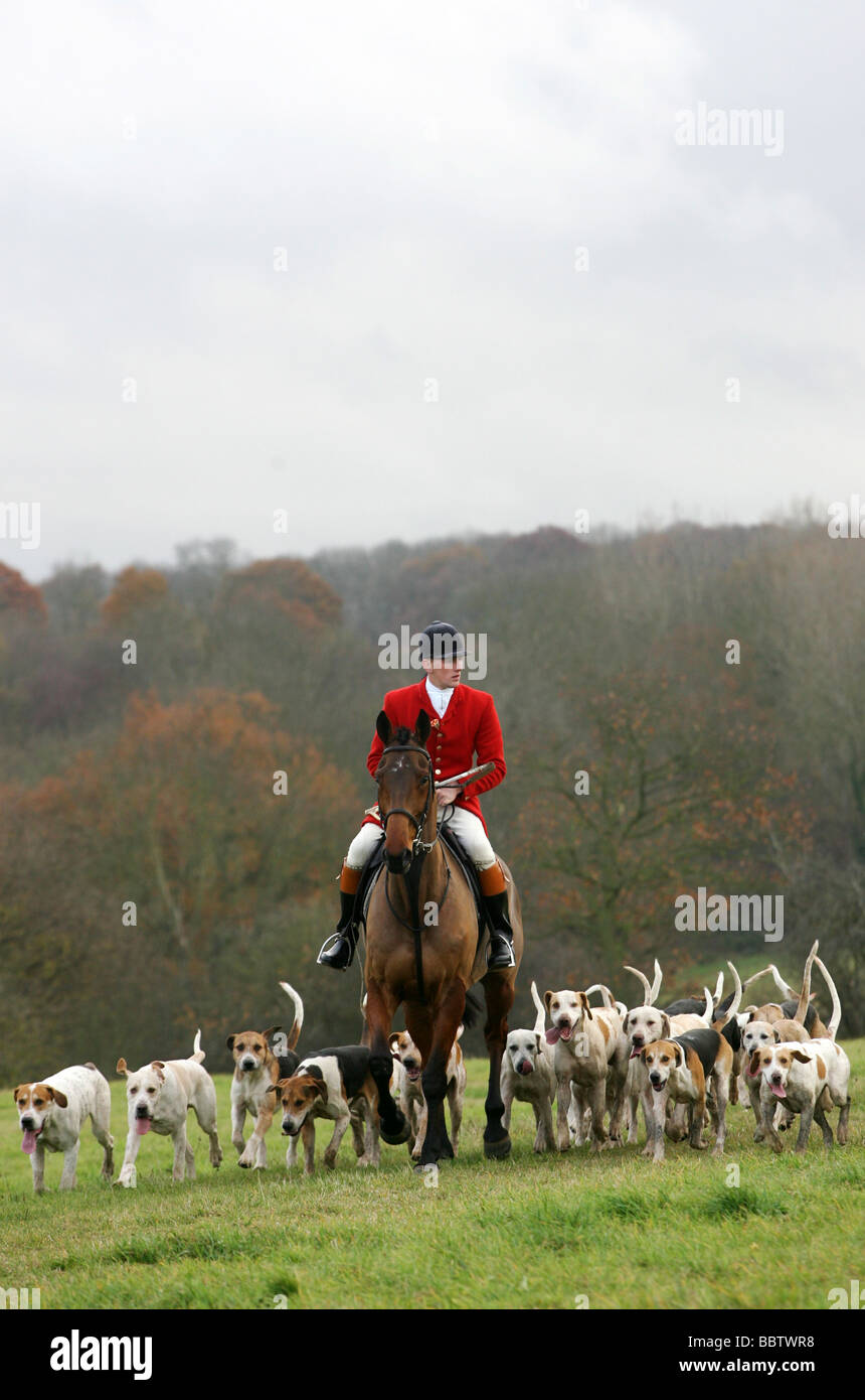 Hunting hounds hi-res stock photography and images - Alamy
