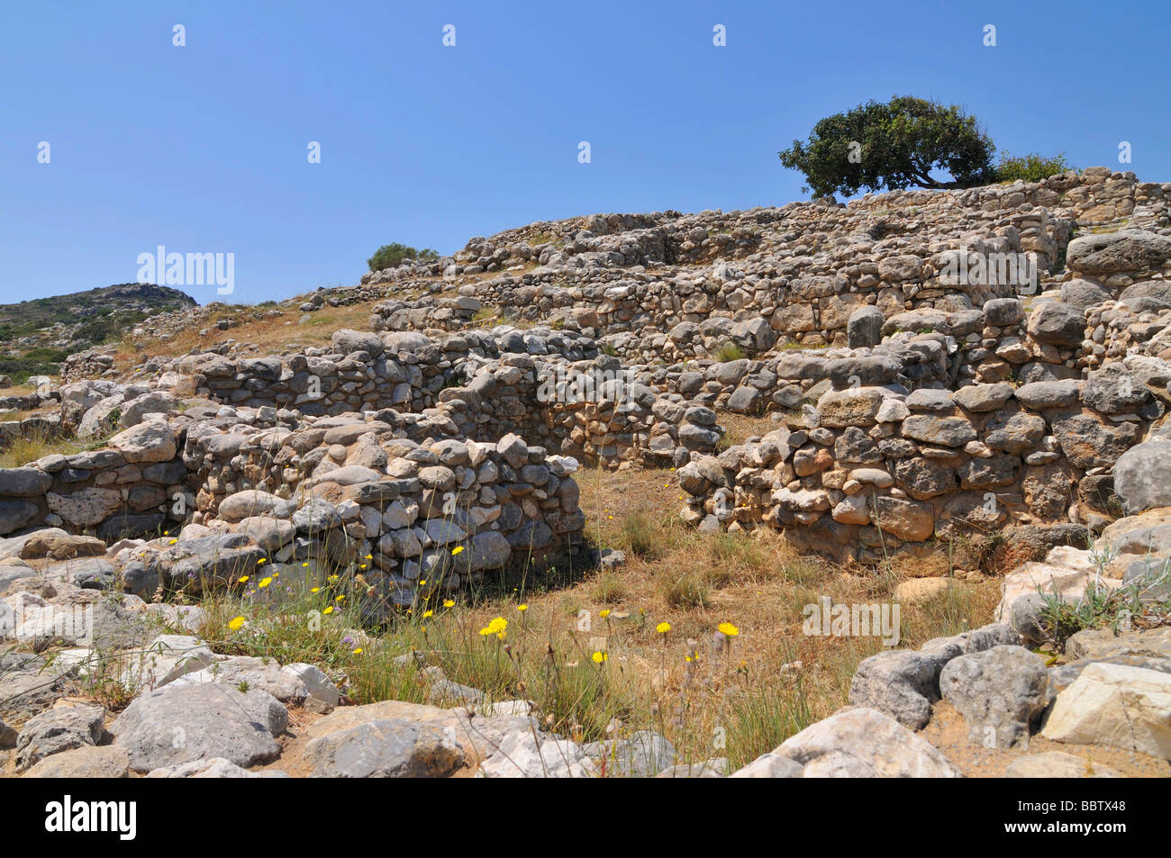 Archaelogical Site Gournia, former minoan city, fully excavated ...