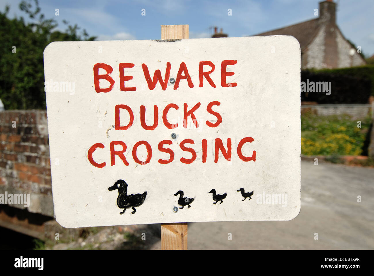 Beware Ducks Crossing Sign In Singleton West Sussex Stock Photo - Alamy