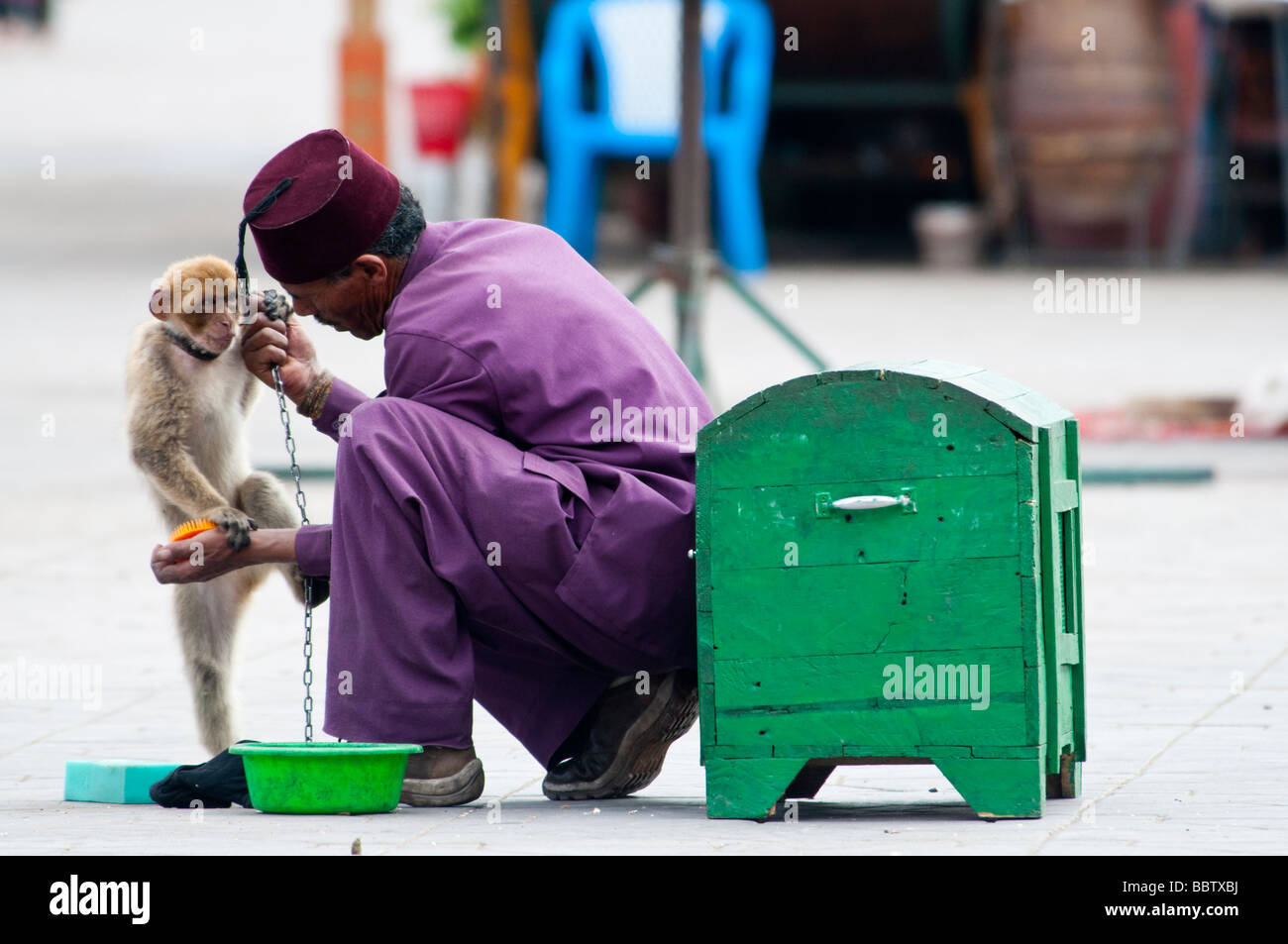 A dancing monkey and his trainer in Marrakech Morocco Stock Photo - Alamy