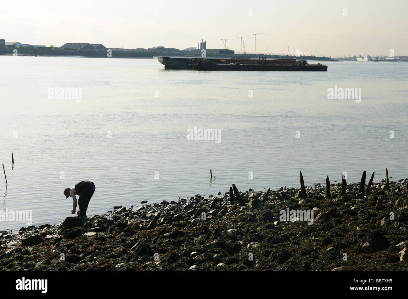 Man fishing on shoreline, lower Thames Rainham,Essex,UK Stock Photo - Alamy