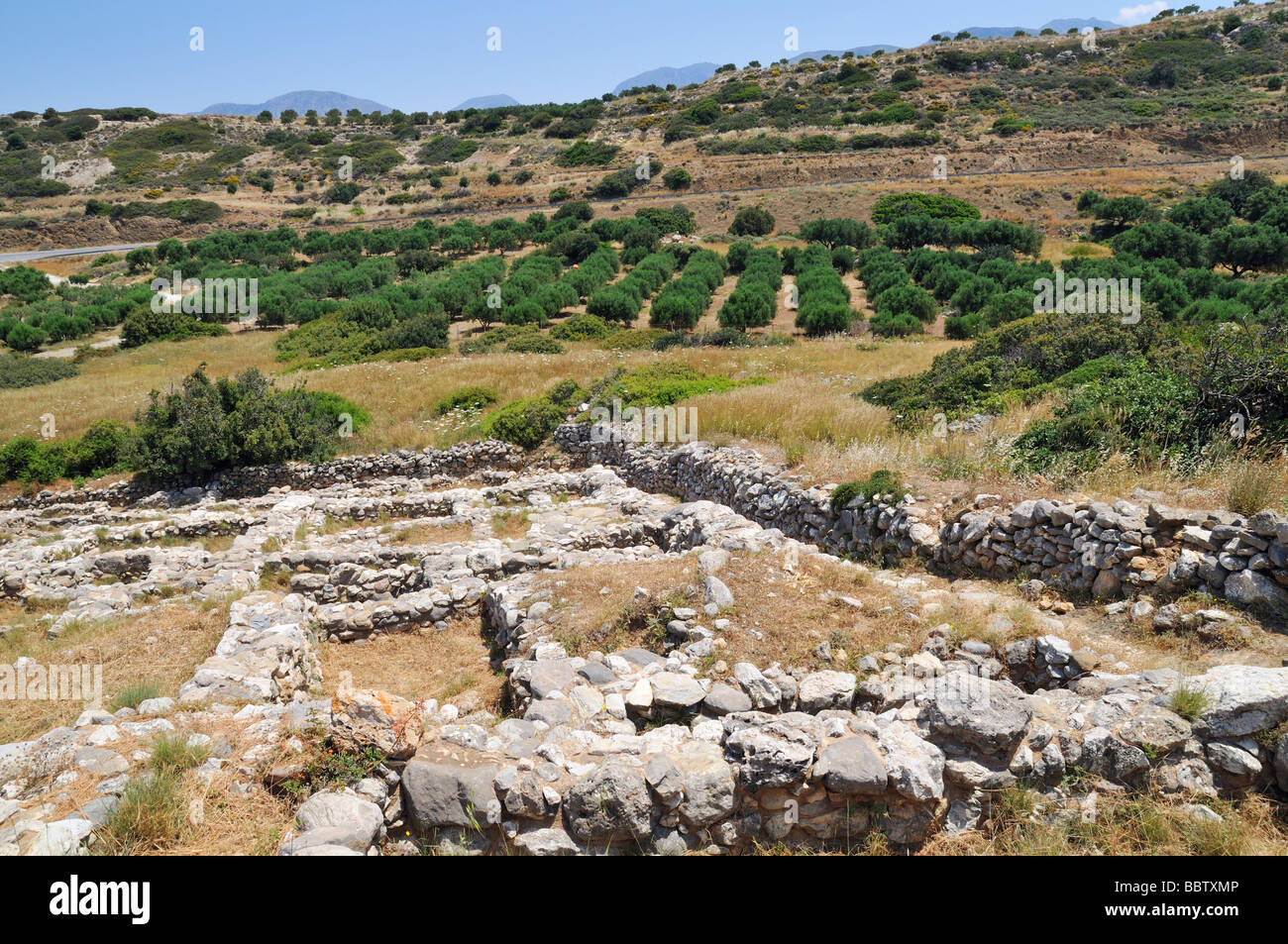 Archaelogical Site Gournia, former minoan city, fully excavated ...