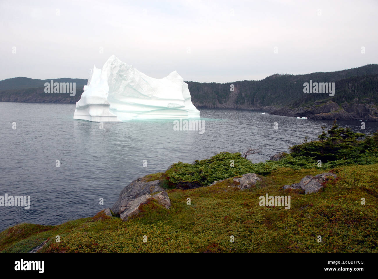 Dunfield hi-res stock photography and images - Alamy