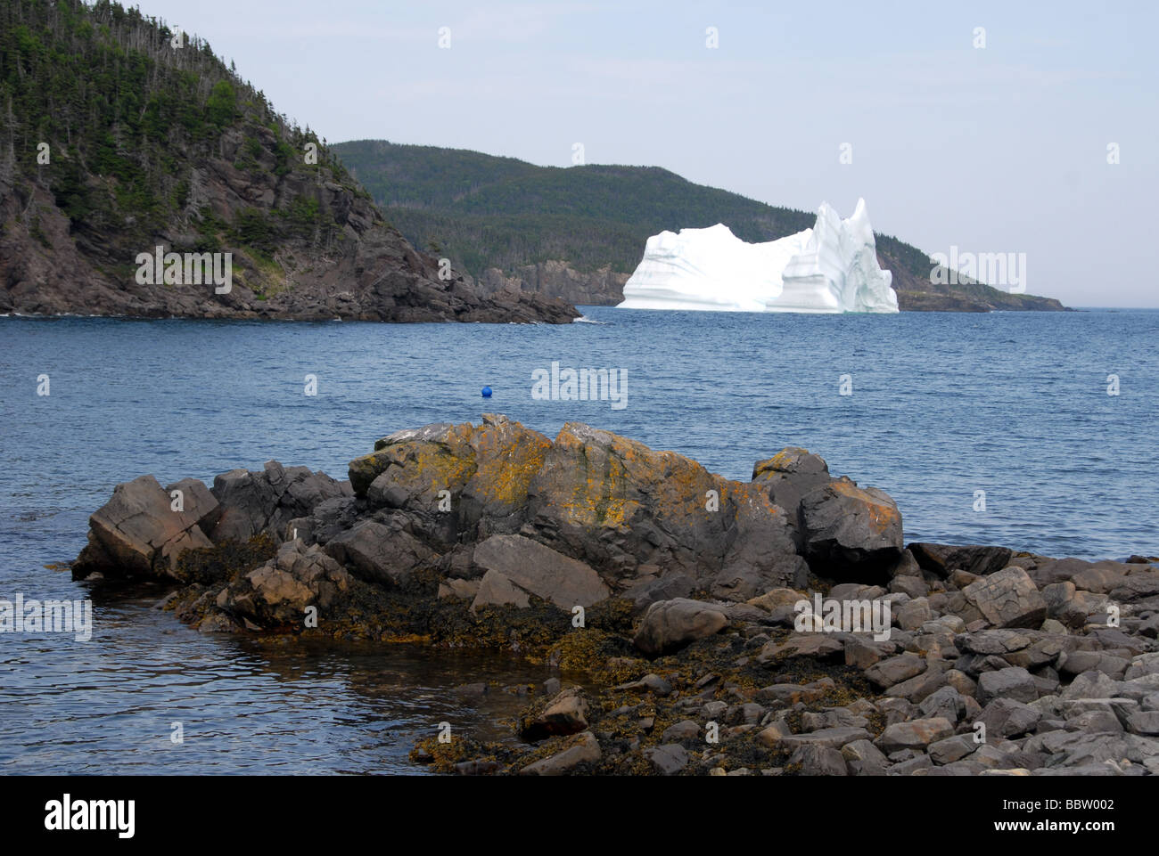 Dunfield hi-res stock photography and images - Alamy