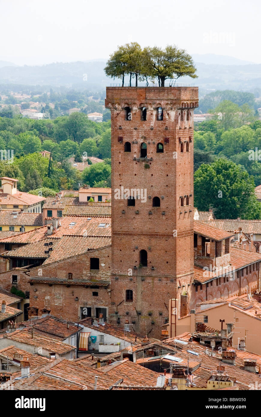 Torre guinigi hi-res stock photography and images - Alamy