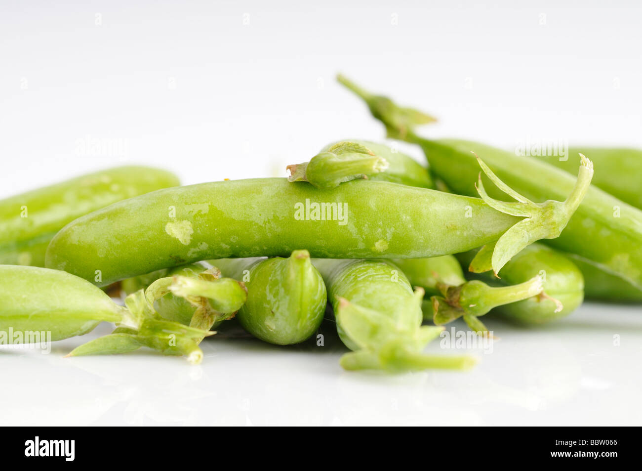 Fresh garden peas in a pod against a white background Stock Photo - Alamy