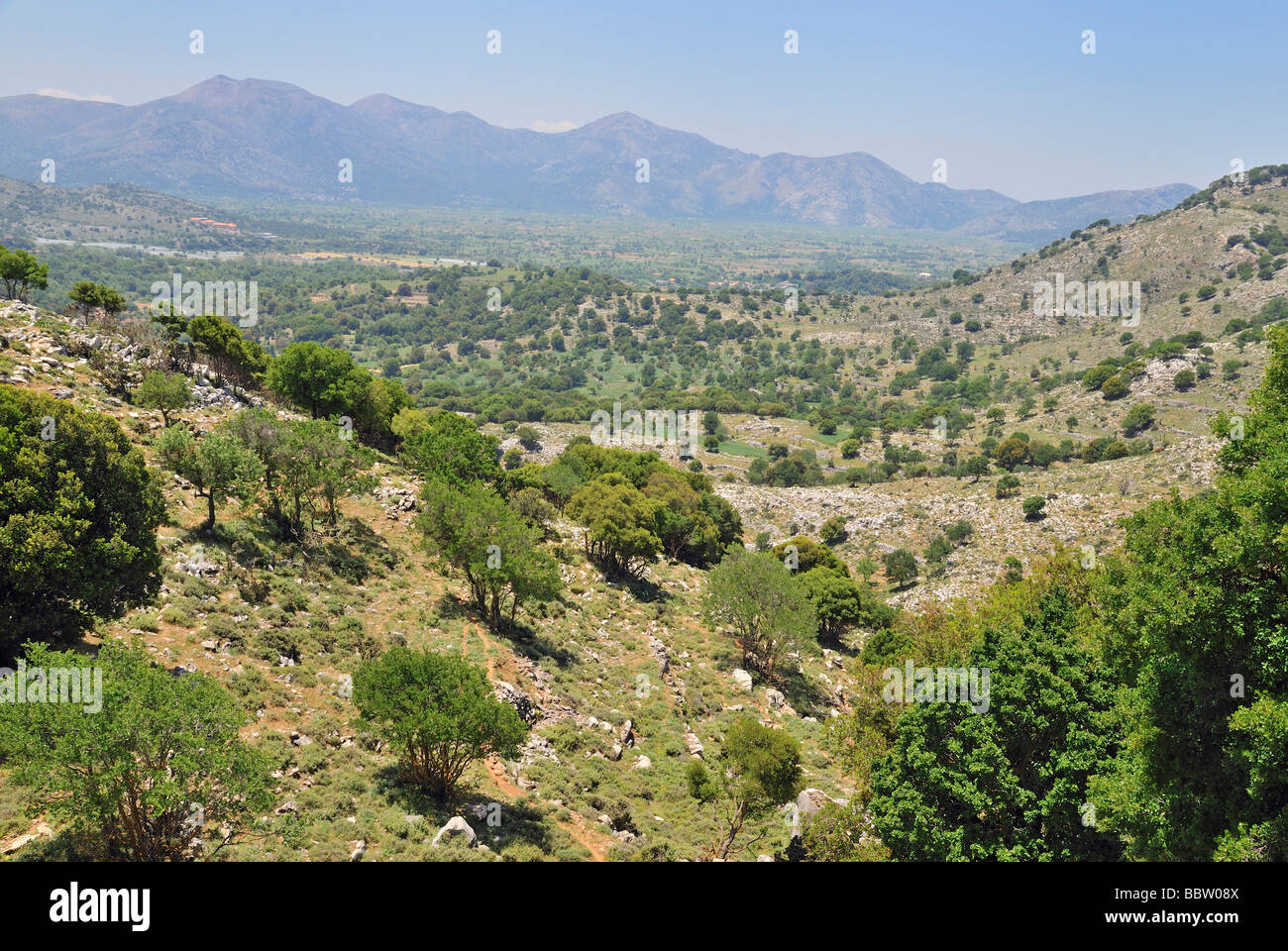 Lasithi Plateau, Eastern Crete, Greece, Europe Stock Photo - Alamy