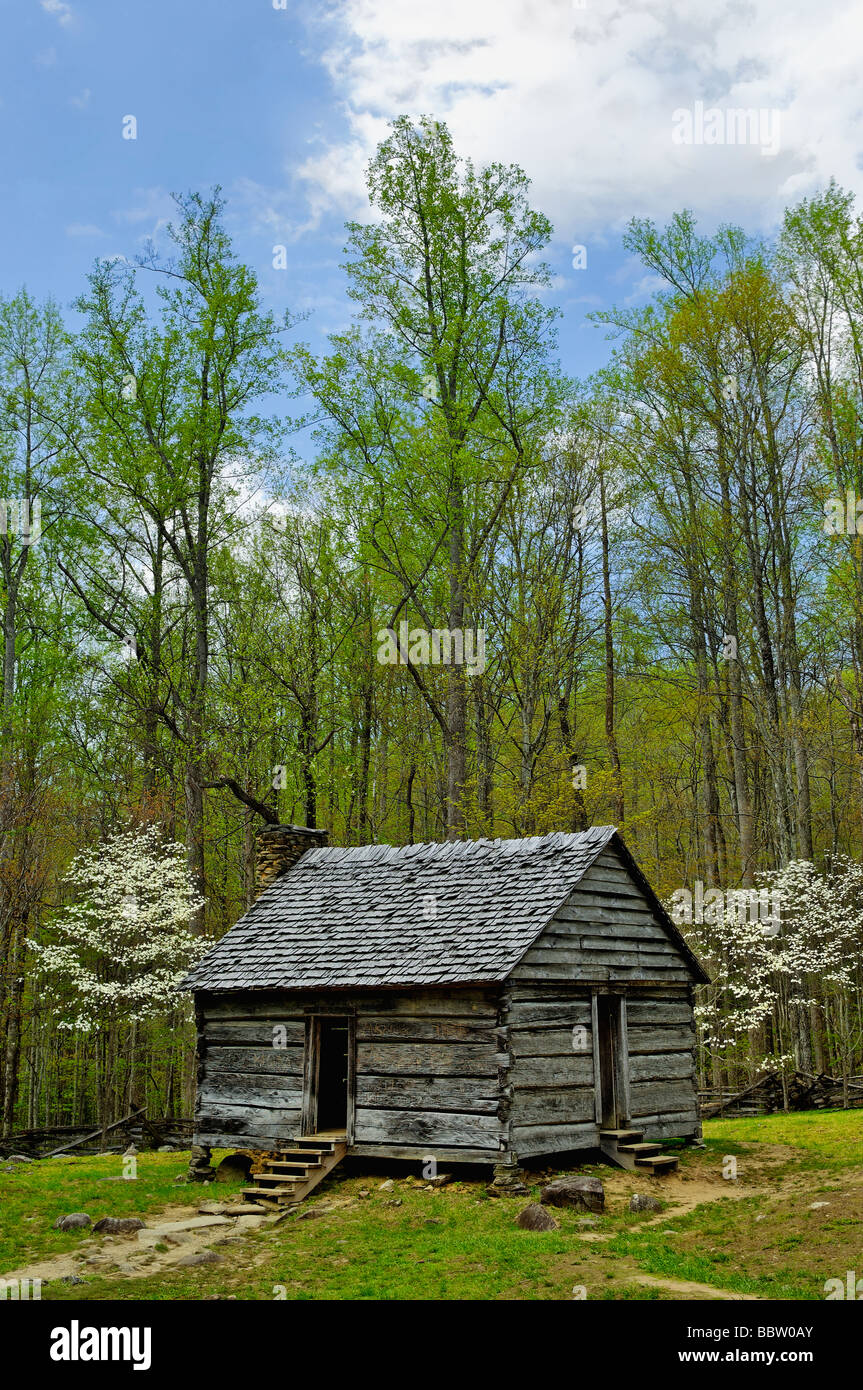 Cabin at Jim Bales Place on the Roaring Fork Motor Nature Trail in ...