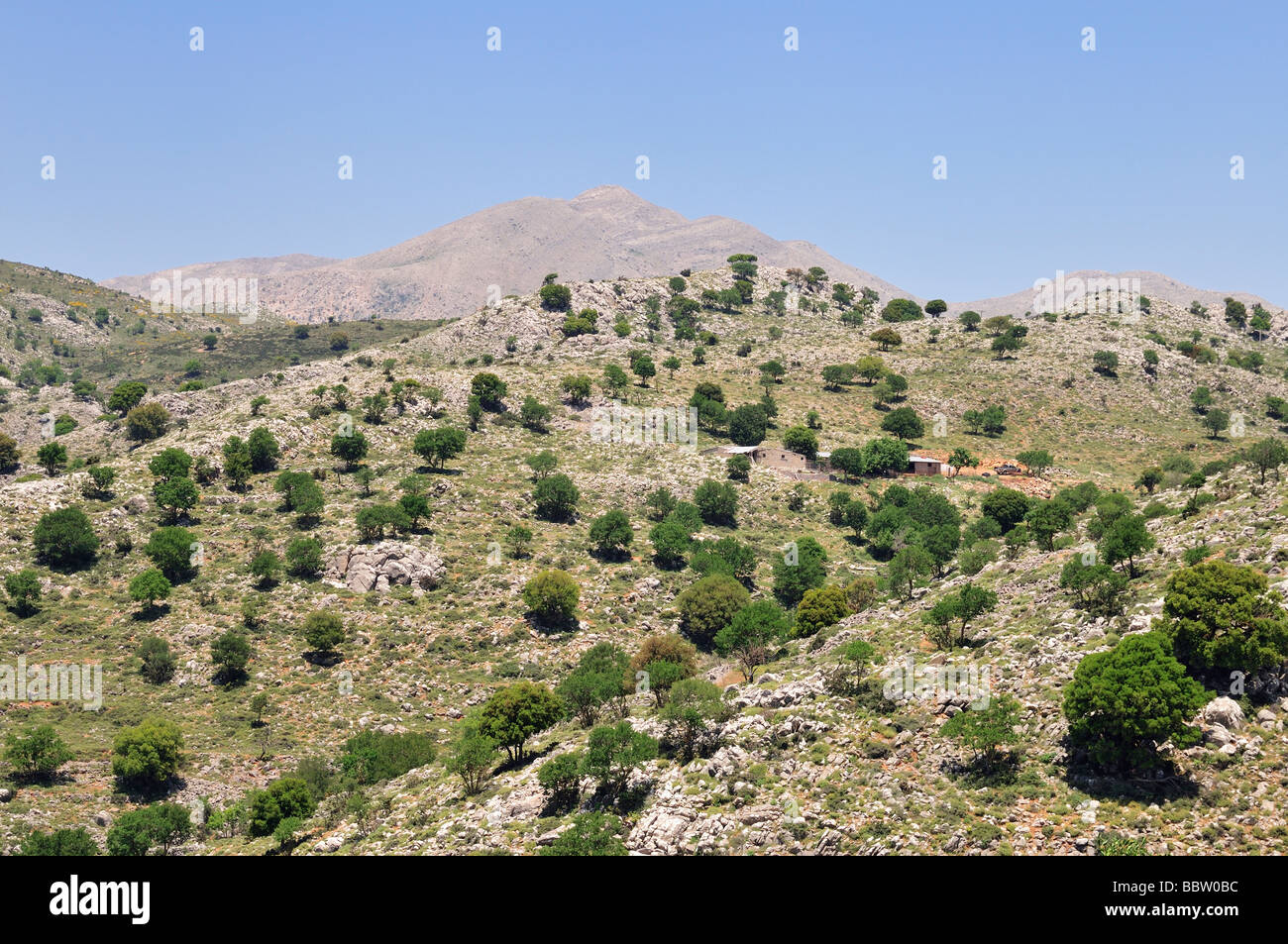 Lasithi Plateau, Eastern Crete, Greece, Europe Stock Photo - Alamy