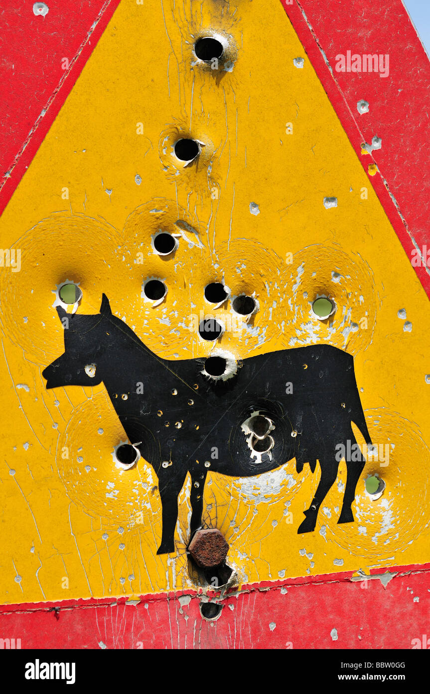 Traffic sign with bullet holes, Lasithi Plateau, Eastern Crete, Greece ...