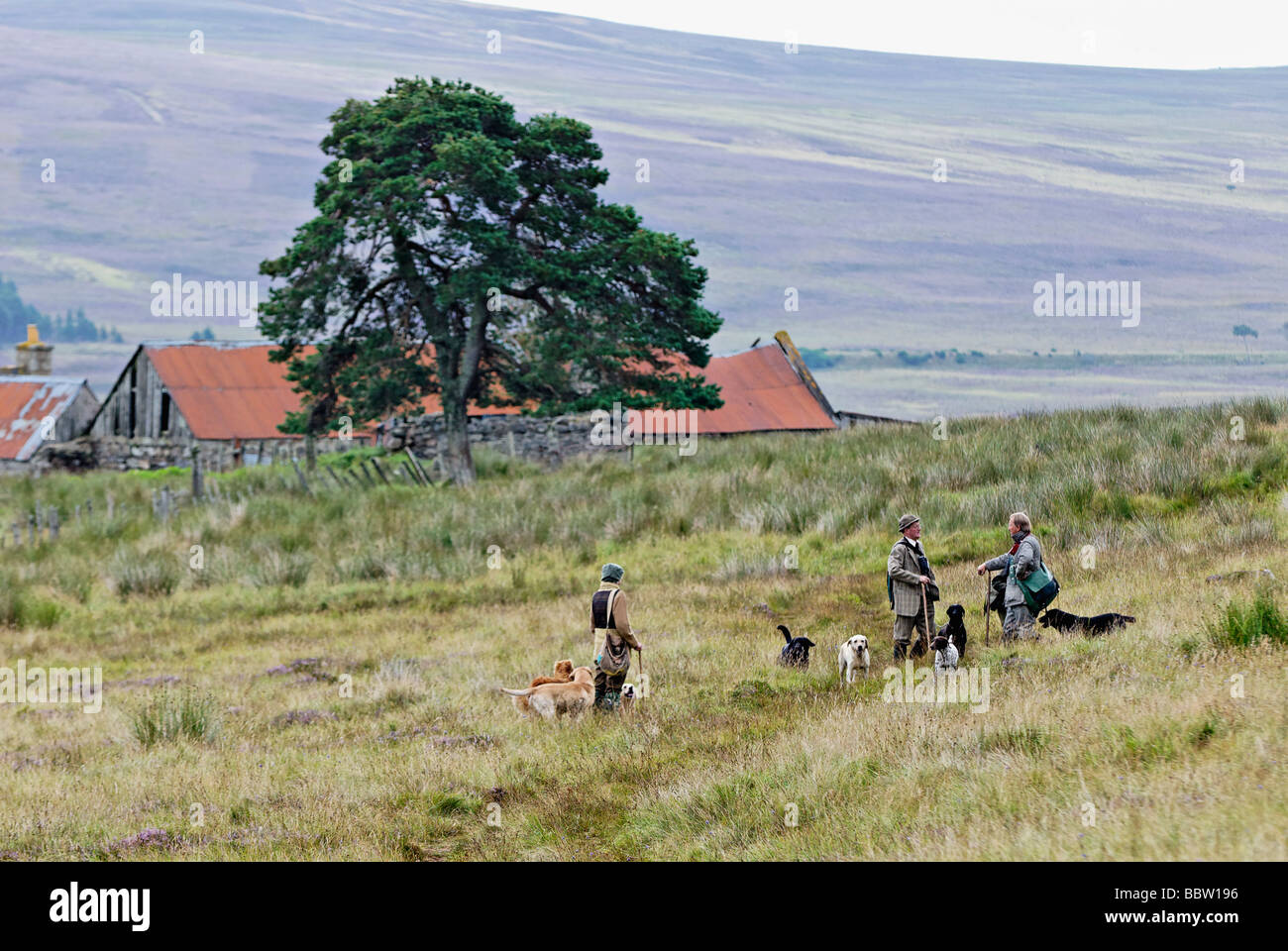 Dog Handlers and Game Keeper Talking on a Scottish Moor after a Driven ...