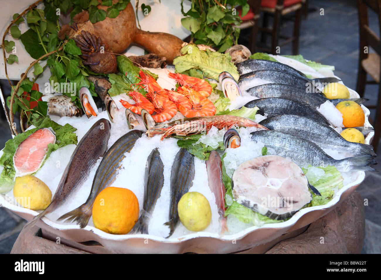 The seafood display outside a Greek taverna in Crete Greece Stock Photo ...