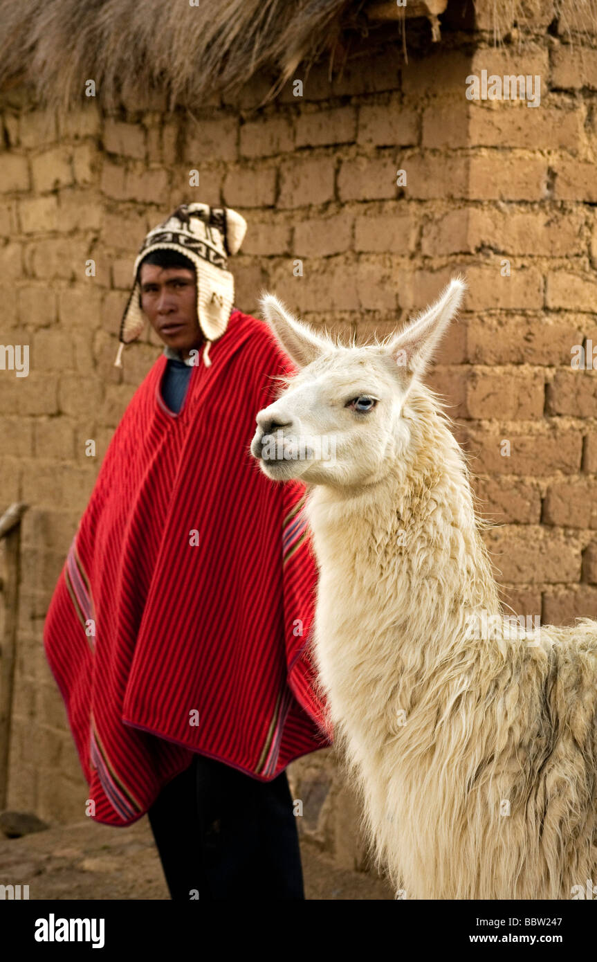 Llama and Aymara colorful touristic destination typical dress Andean ...