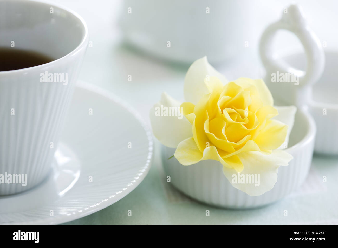 Herbal nutrition hi-res stock photography and images - Alamy