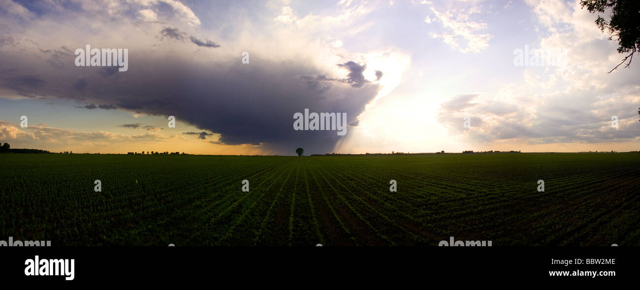 Thunderhead clouds hi-res stock photography and images - Alamy