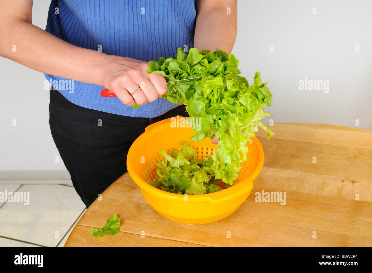 Display of cleaning products hi-res stock photography and images - Alamy