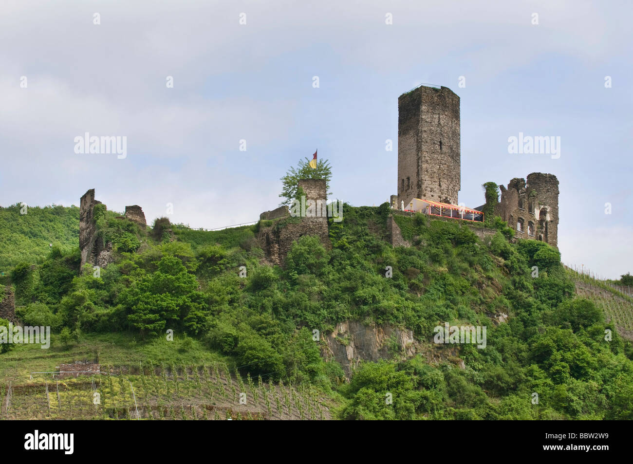 Ruins of Metternich Castle, Beilstein Mosel, vineyards below, Rhineland ...