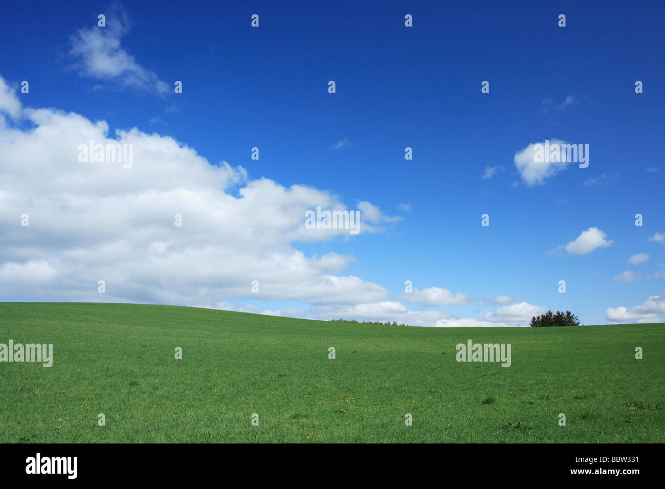 Sloping green grassland against cloudy sky Stock Photo - Alamy