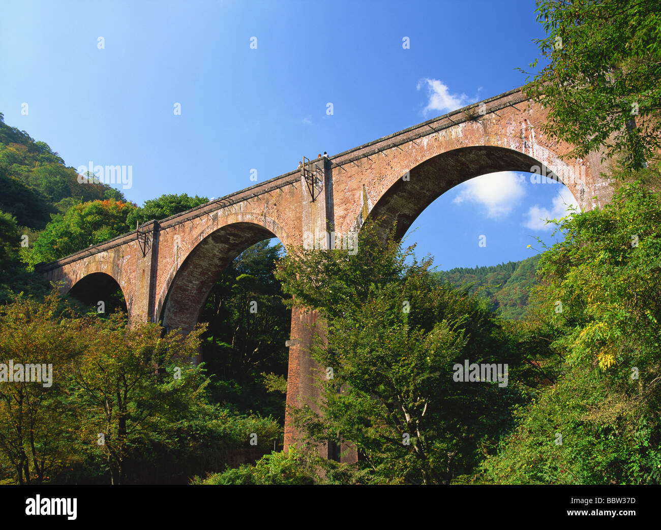 Bridge crossing from forest in wilderness Stock Photo - Alamy