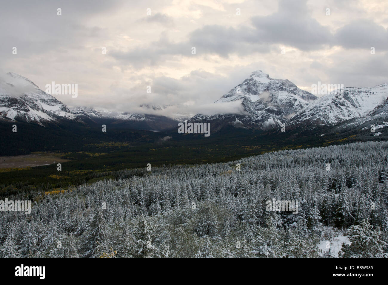 Two Medicine Valley and Rising Wolf Mountain Glacier National Park ...
