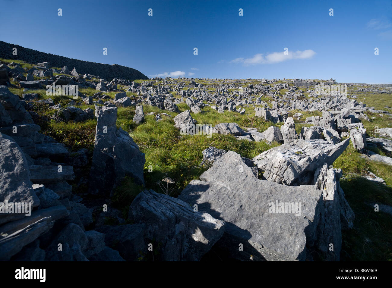 Rocky Defenses. Pointed rocks formed the first defense before invaders ...